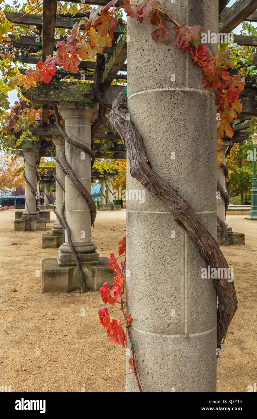 Grapevine pergola hi-res stock photography and images - Alamy