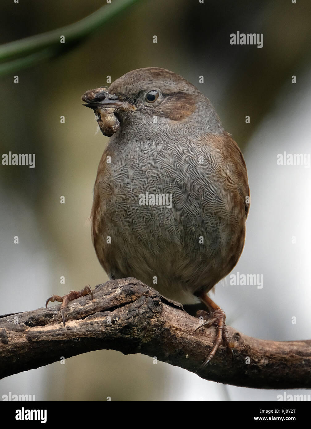 Trouble tumor hi-res stock photography and images - Alamy