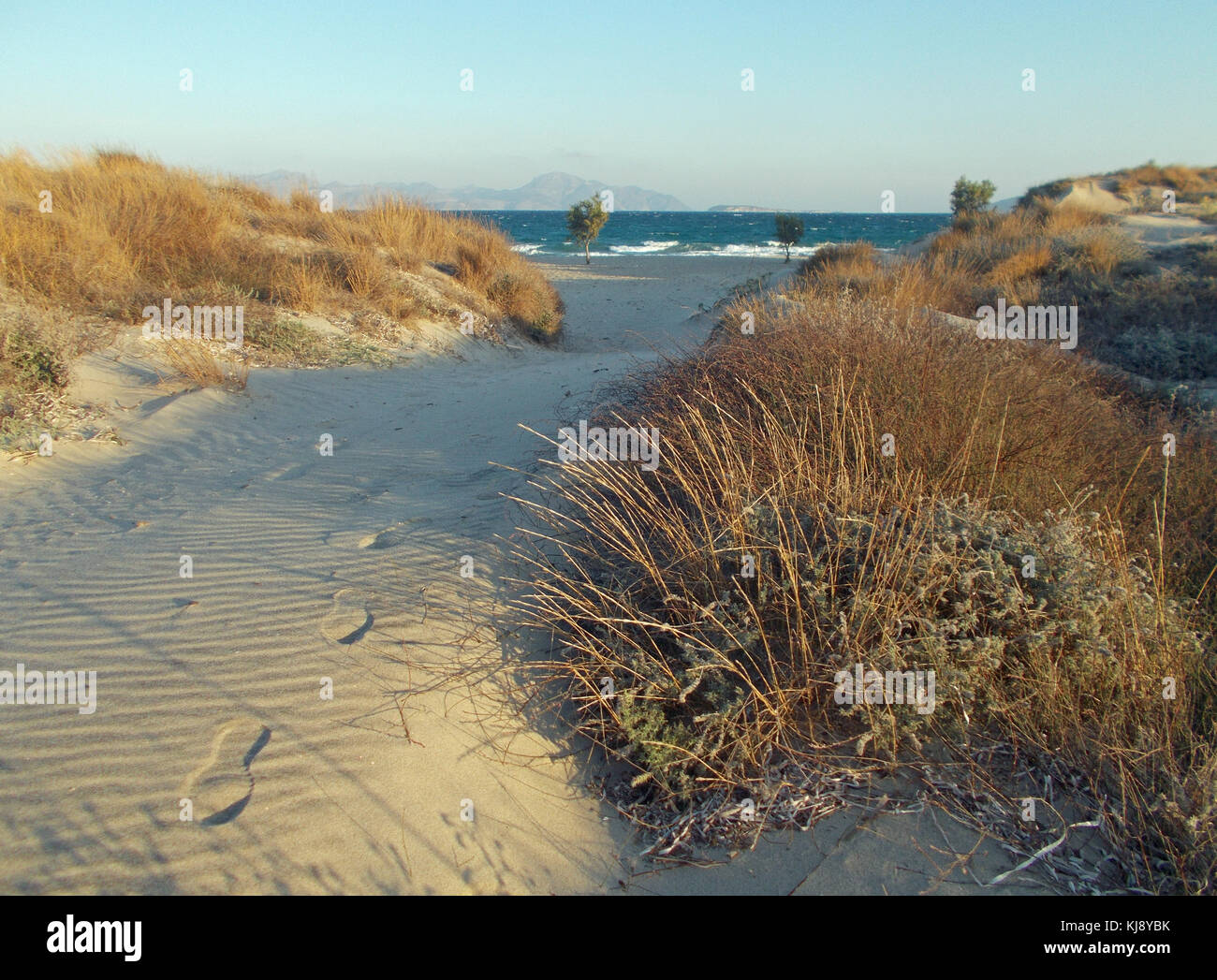 coast of kos island in greece in autumn Stock Photo - Alamy
