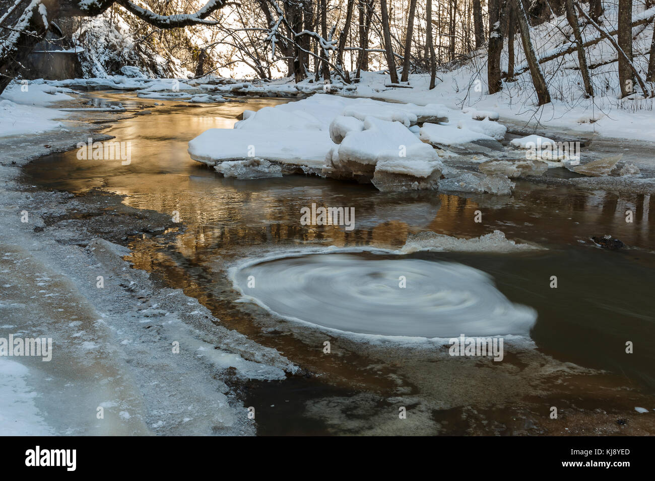White covered stream with stream and forest hi-res stock photography ...