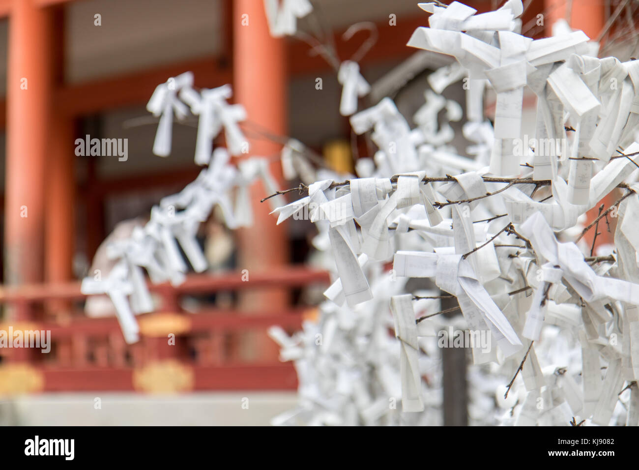 White papers with prayers tied on a branch of a tree at Heian Jingu ...