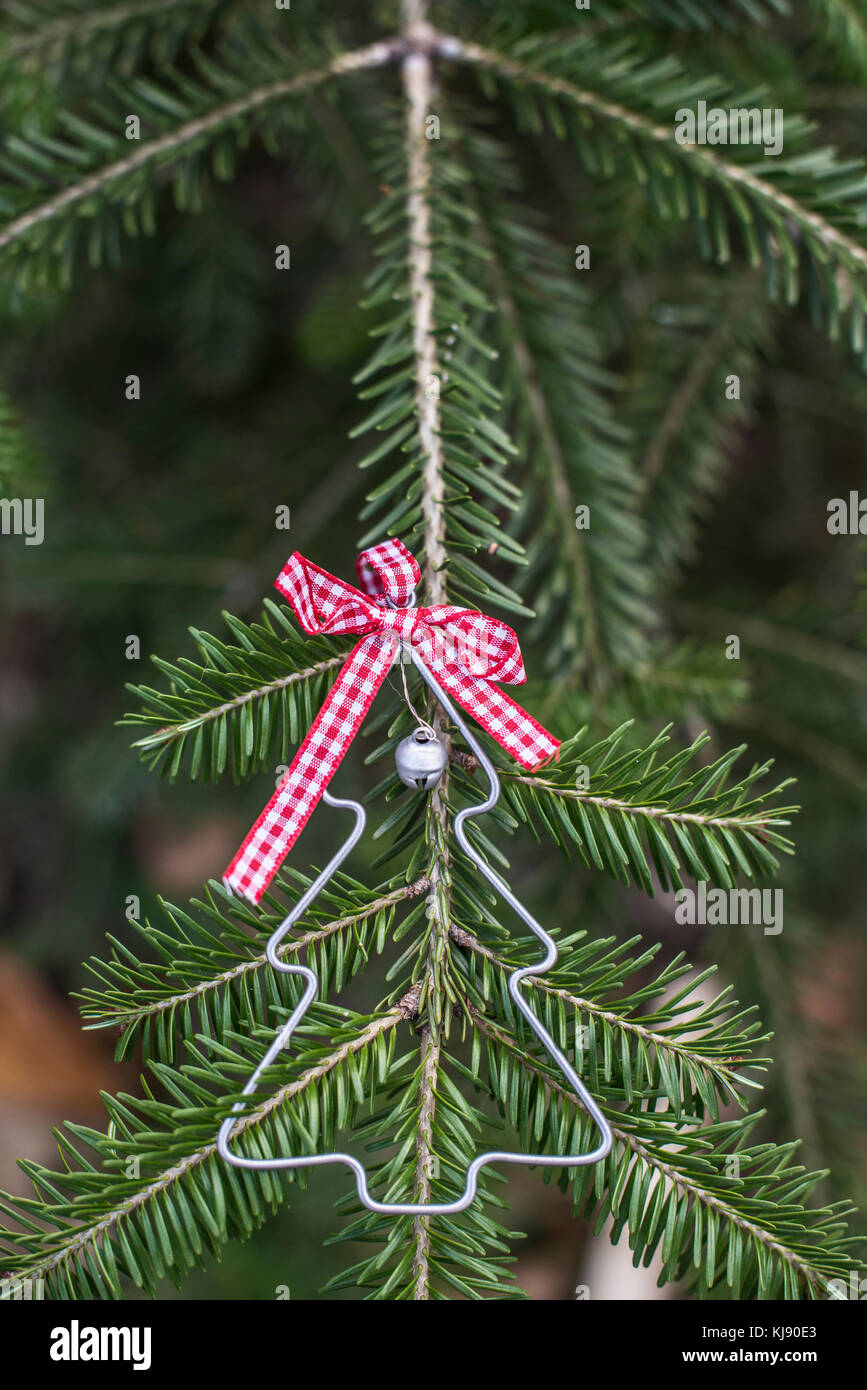 Christmas tree shape on real pine tree. Christmas tree miniature shape ...