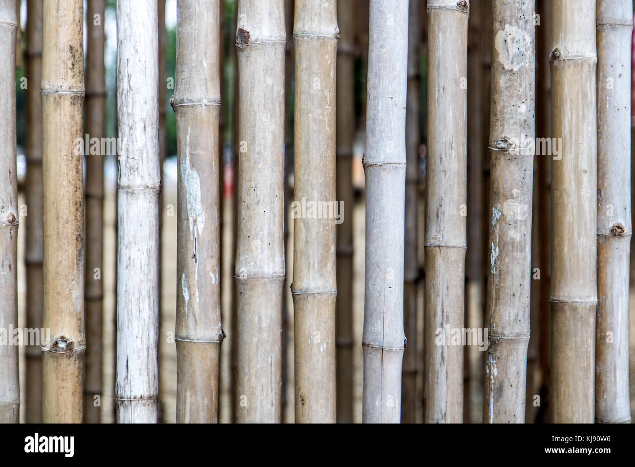 a grid of bamboo holes Stock Photo - Alamy