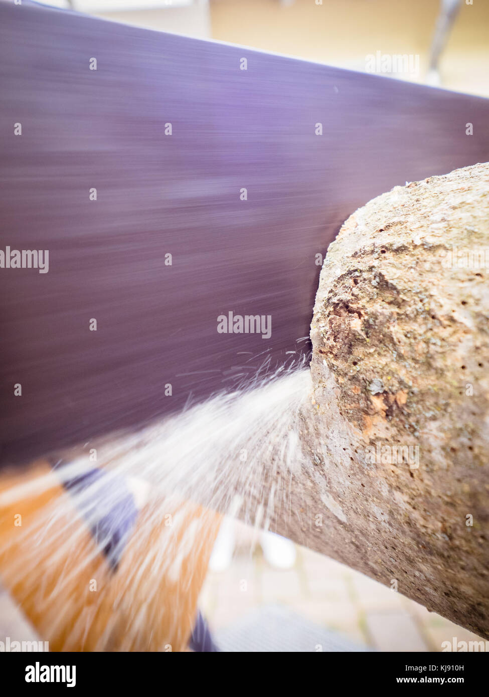 wedding game tree trunk saw Stock Photo - Alamy