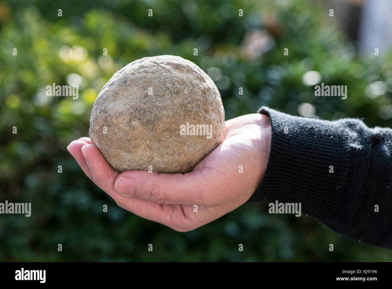 Hand hold stone ball in nature. Circular stone Stock Photo - Alamy