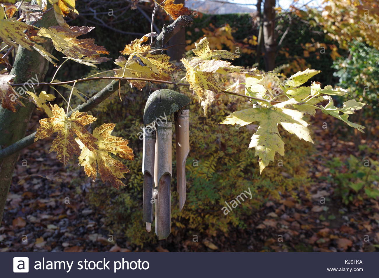 Wind Chimes, Tree High Resolution Stock Photography and Images - Alamy