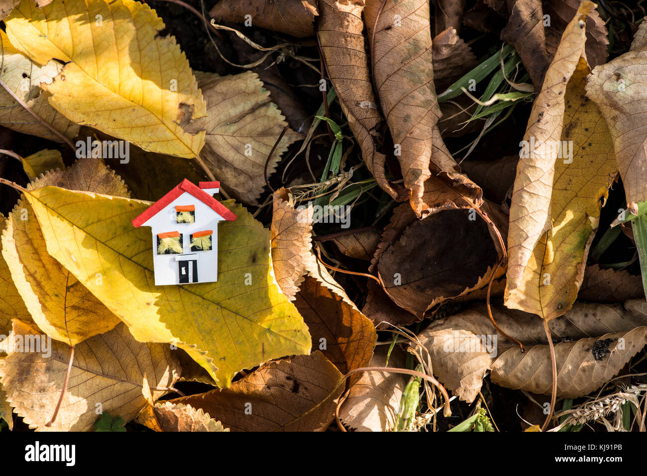 House model and autumn leaves. Paper house Stock Photo - Alamy