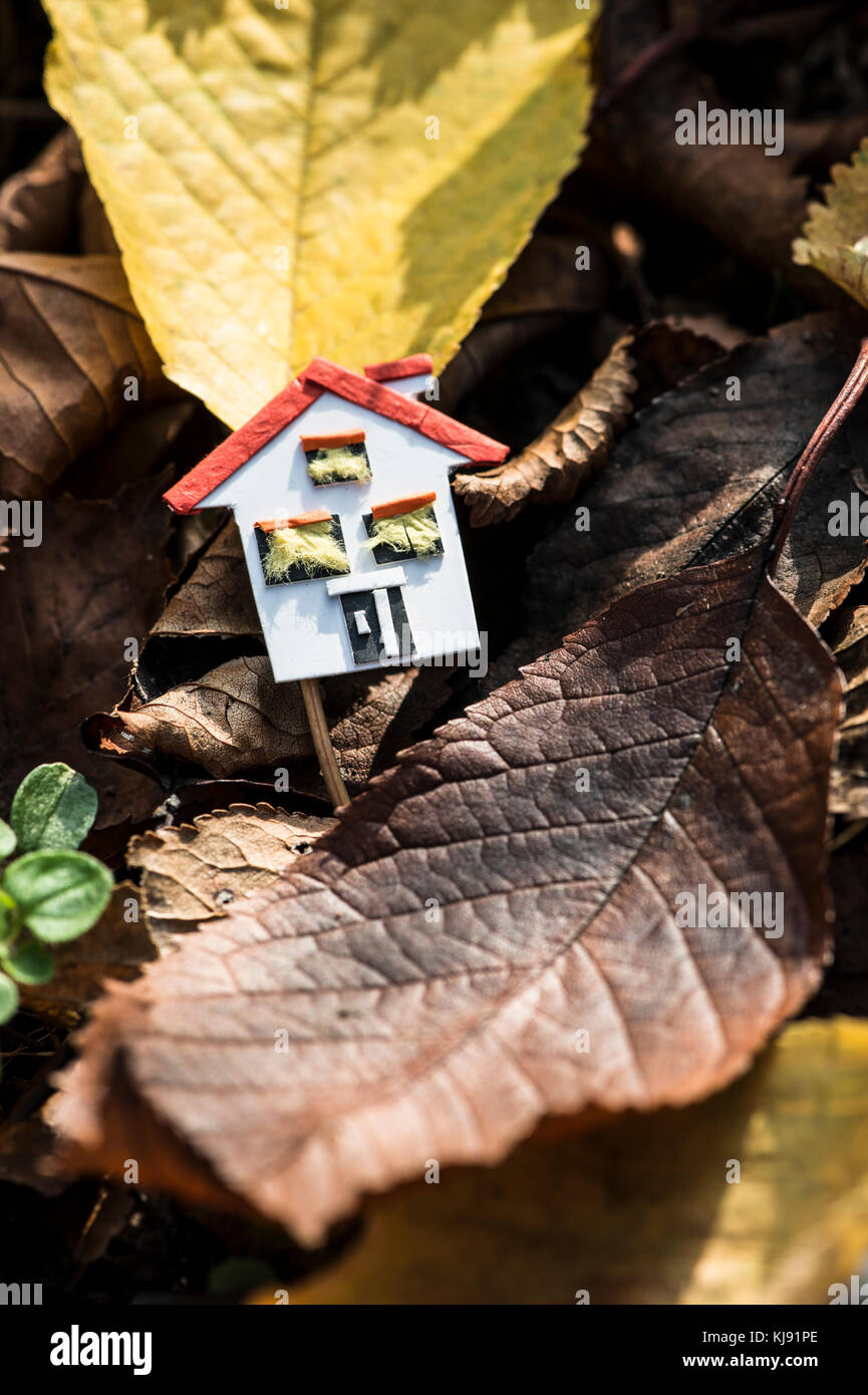 House model and autumn leaves. Paper house Stock Photo - Alamy