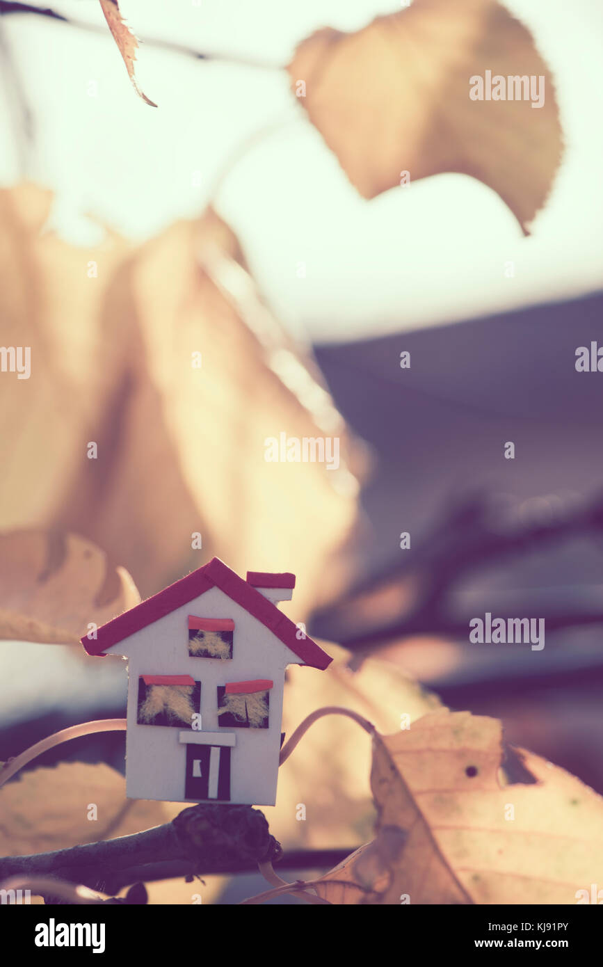 House model and autumn leaves. Paper house Stock Photo - Alamy