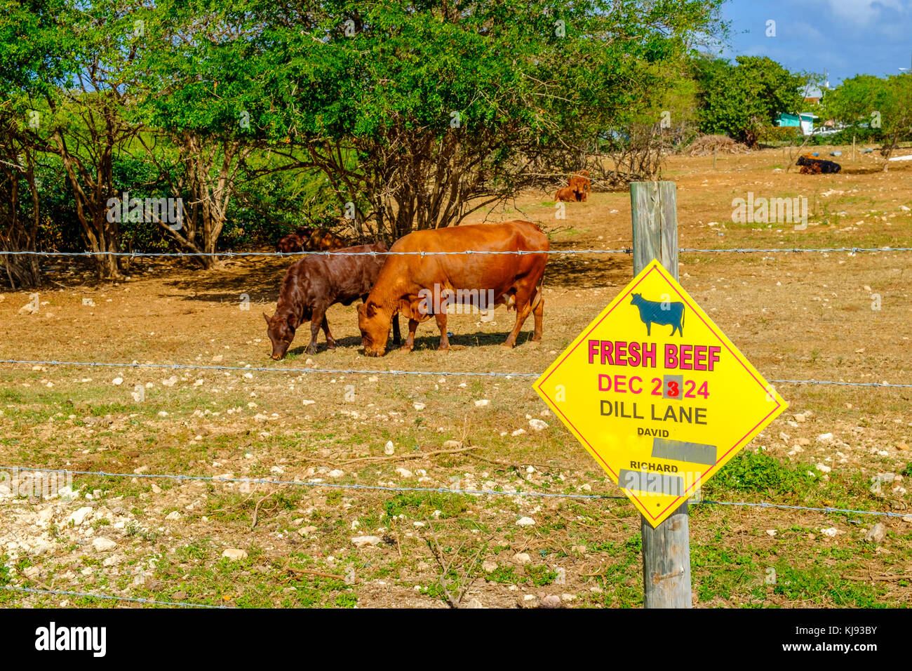 West Bay district, Grand Cayman, Cayman Islands, Nov 2017, signpost ...