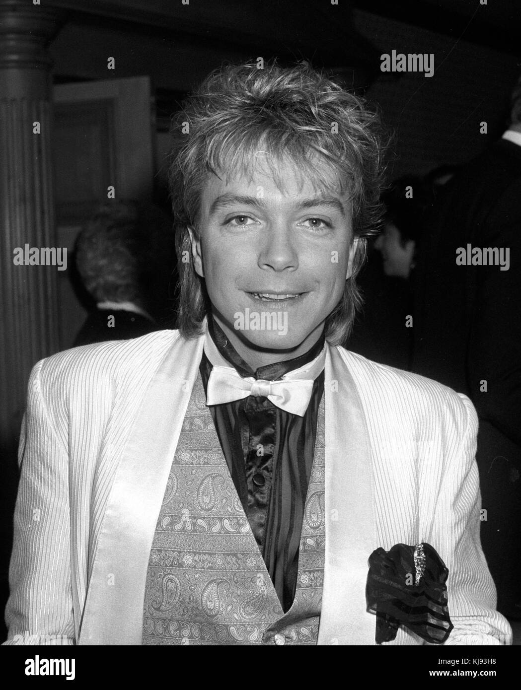 David Cassidy, 34, American singer Stock Photo - Alamy