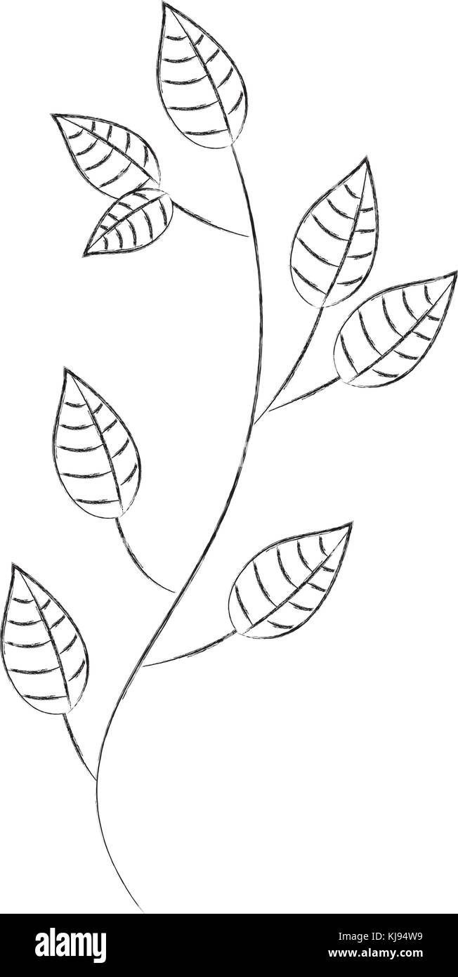 Tree Branch With Leaves Drawing