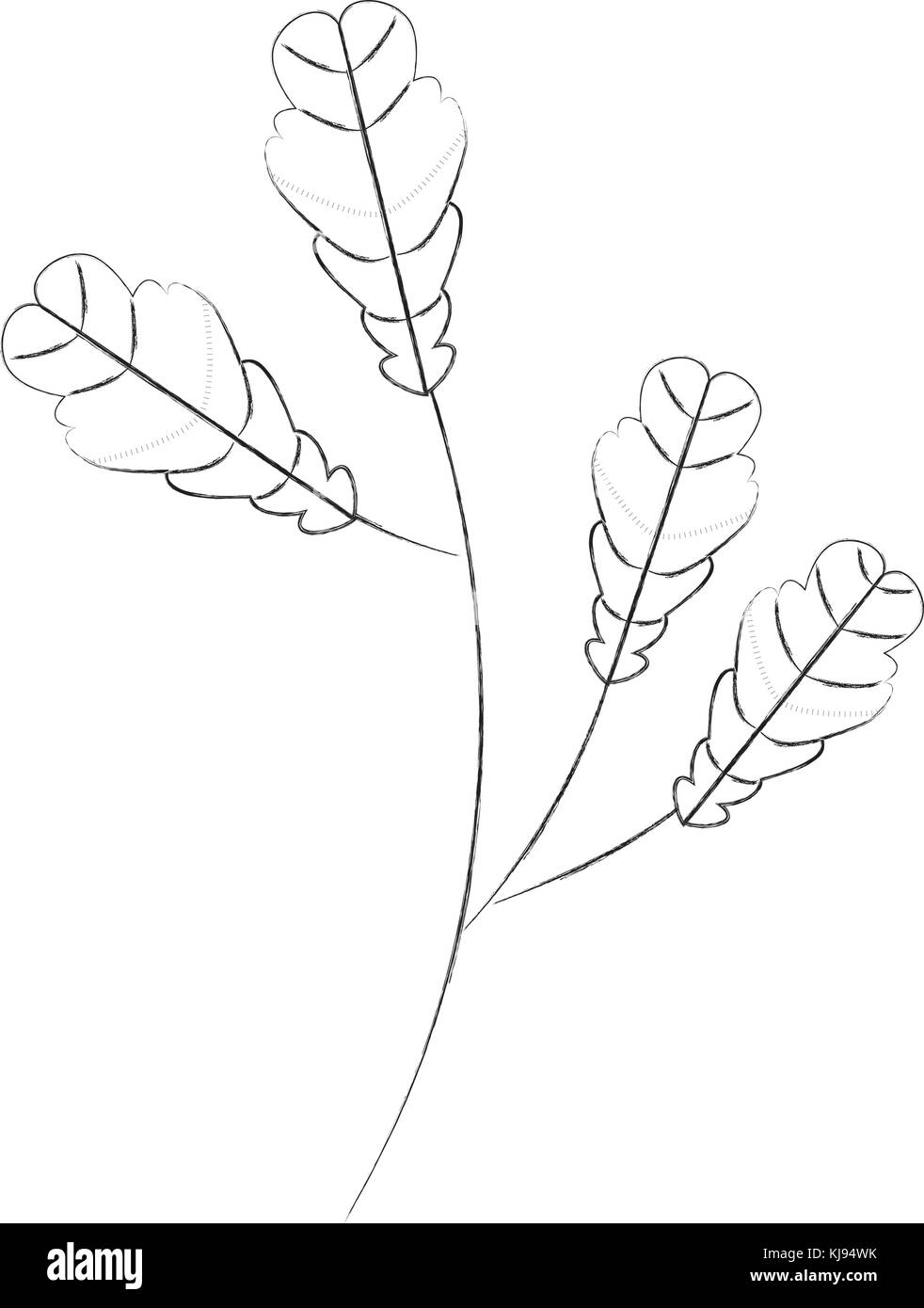 autumn tree branch leaves foliage botanical image Stock Vector Image ...