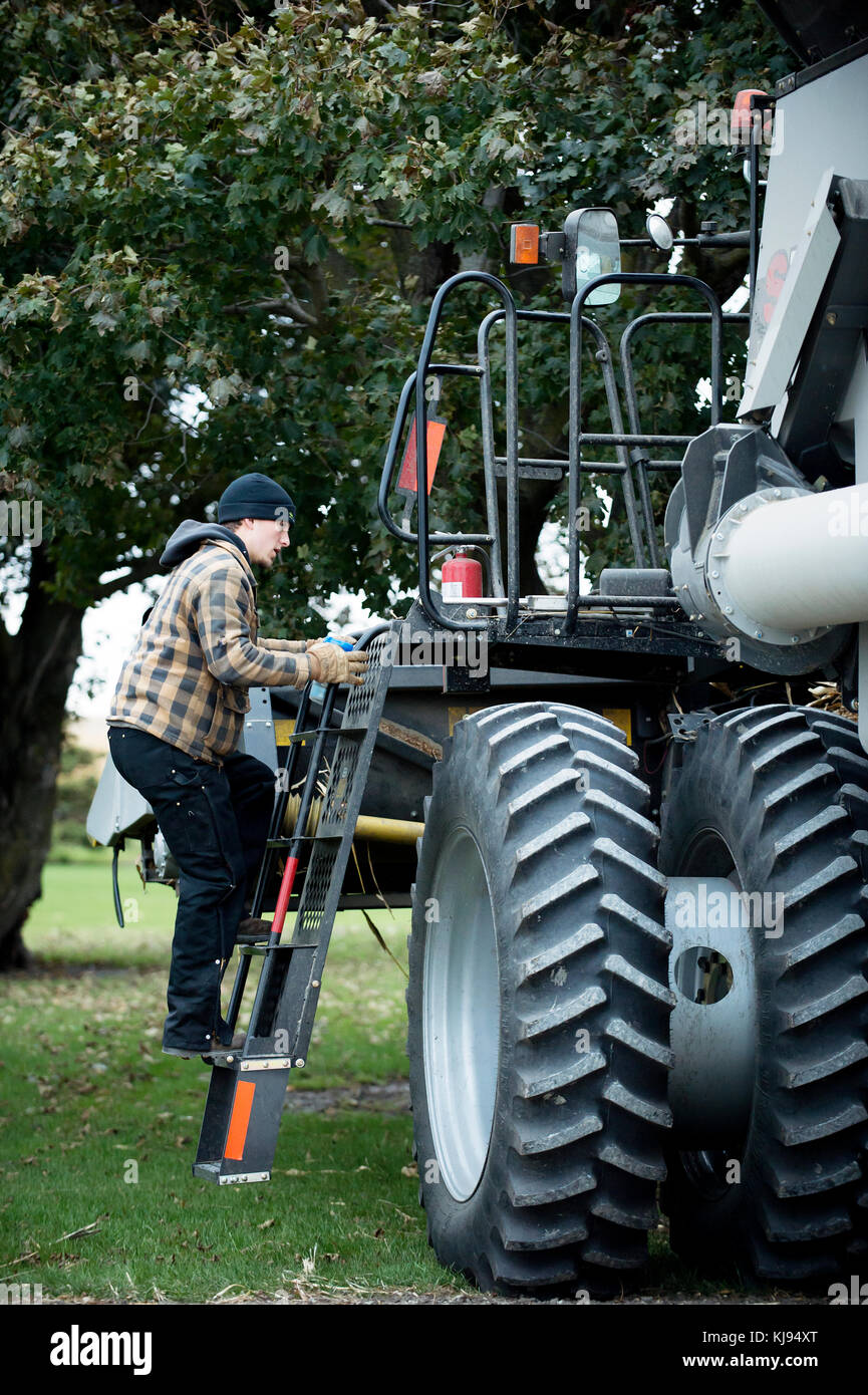 YOUNG FARMER CLIMBING INTO A GLEANER COMBINE AS HE PREPARES TO HARVEST ...
