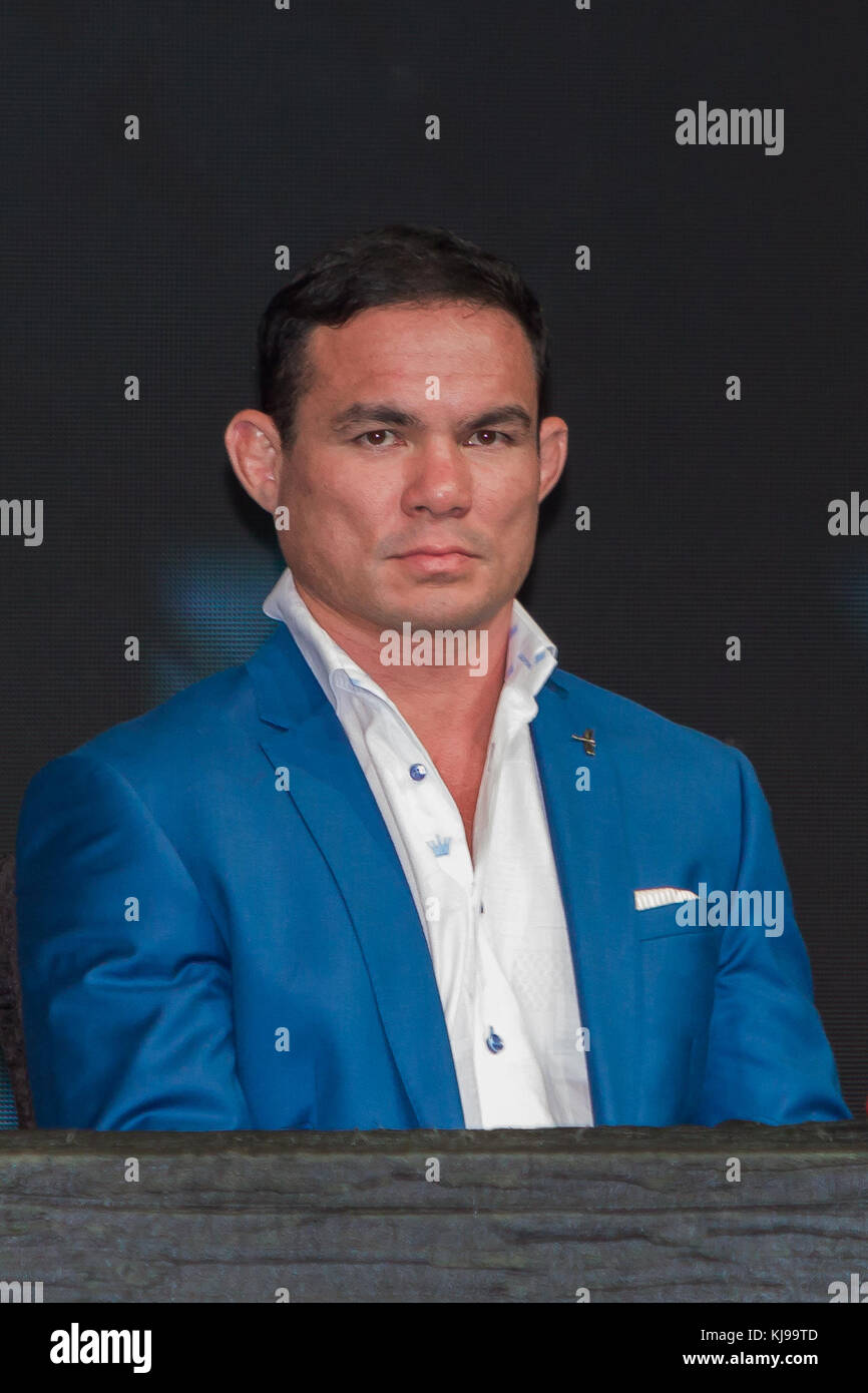 Marina Bay Sands, Singapore. 22nd November, 2017. Adrian Pang at the ...