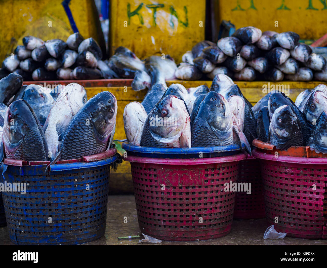 Yangon, Yangon Region, Myanmar. 23rd Nov, 2017. Fish for sale in the ...