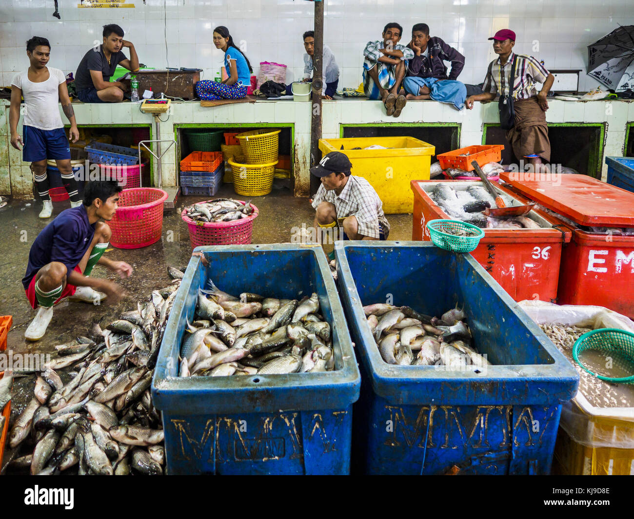 Yangon, Yangon Region, Myanmar. 23rd Nov, 2017. Sorting fish in the San ...