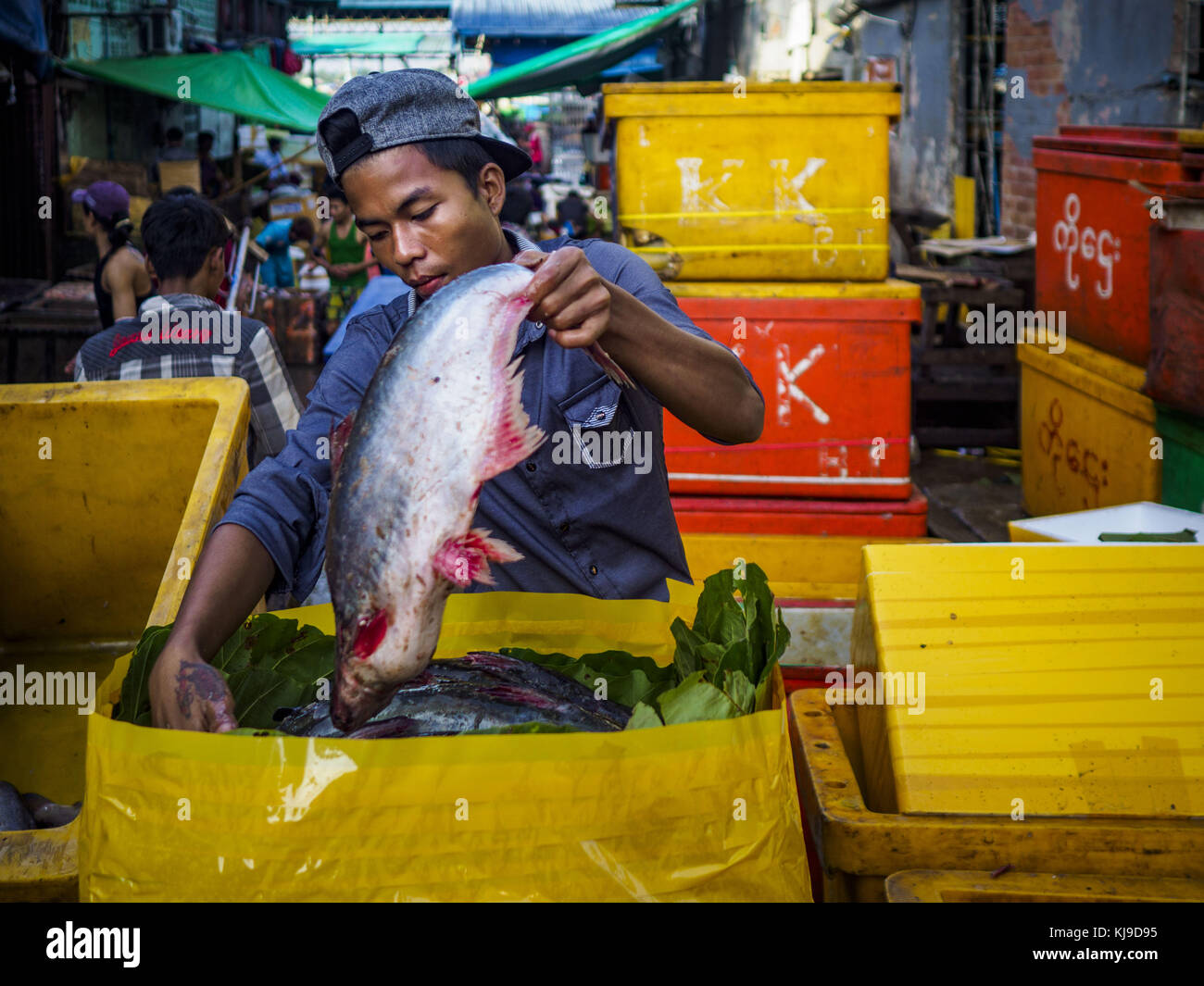 Yangon, Yangon Region, Myanmar. 23rd Nov, 2017. A worker packs fish in ...