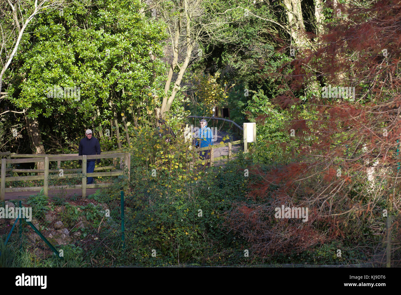 Paignton, UK. 23rd Nov, 2017. Animals enjoy the sunshine in Paignton ...