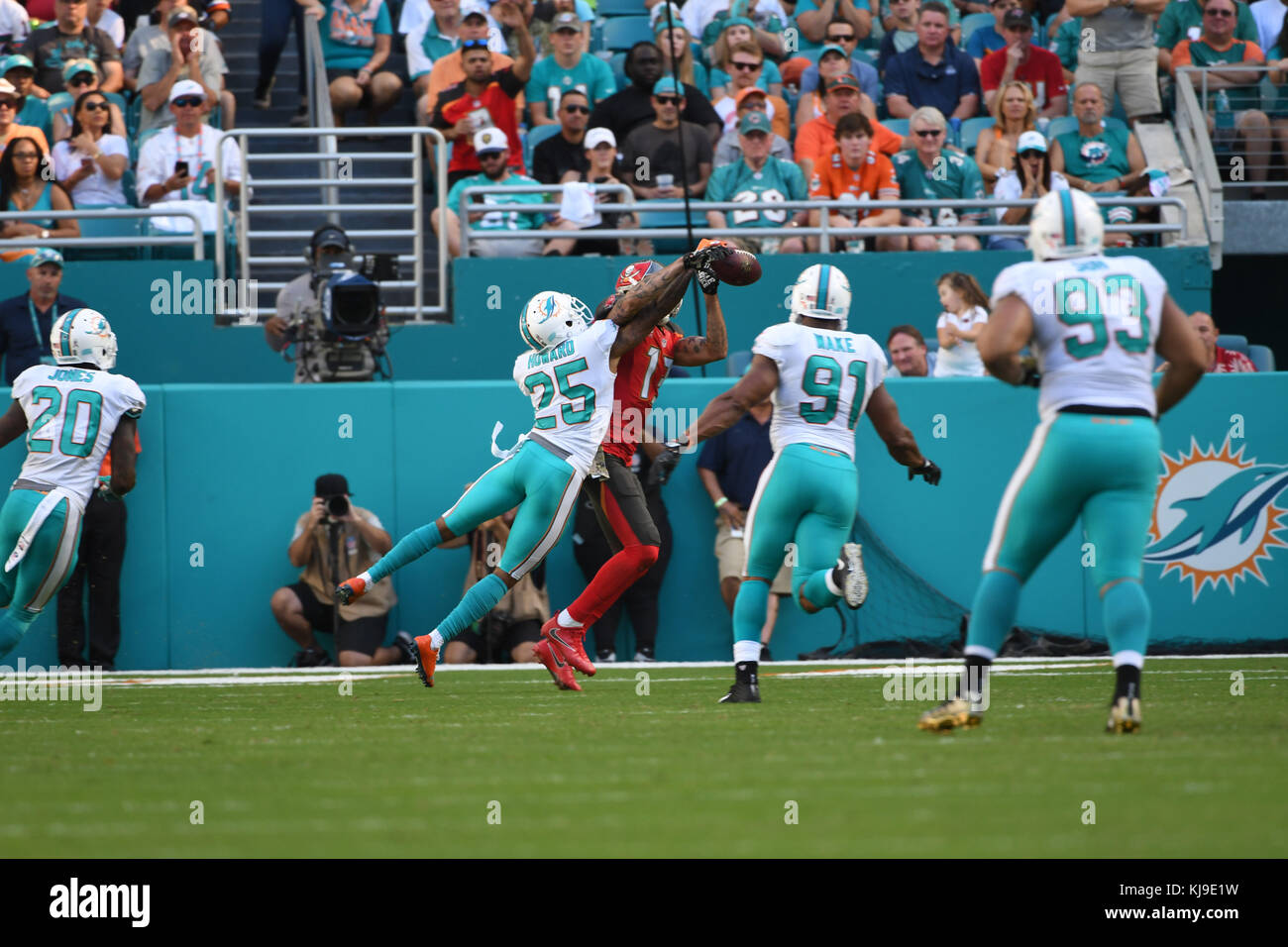 Xavien howard dolphins hi-res stock photography and images - Alamy