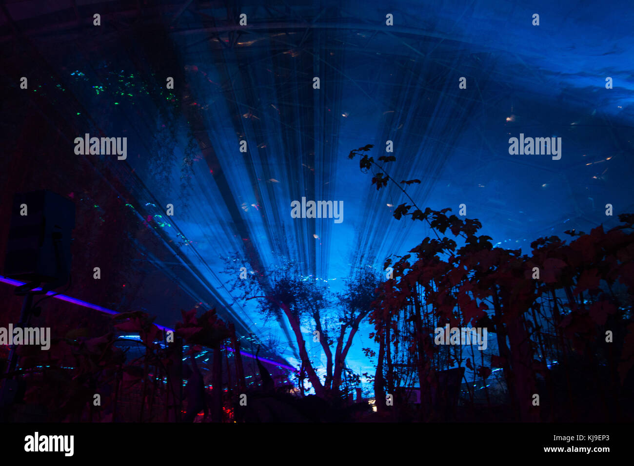 Eden Project, Cornwall, UK. 23rd Nov, 2017. The festival of light and ...
