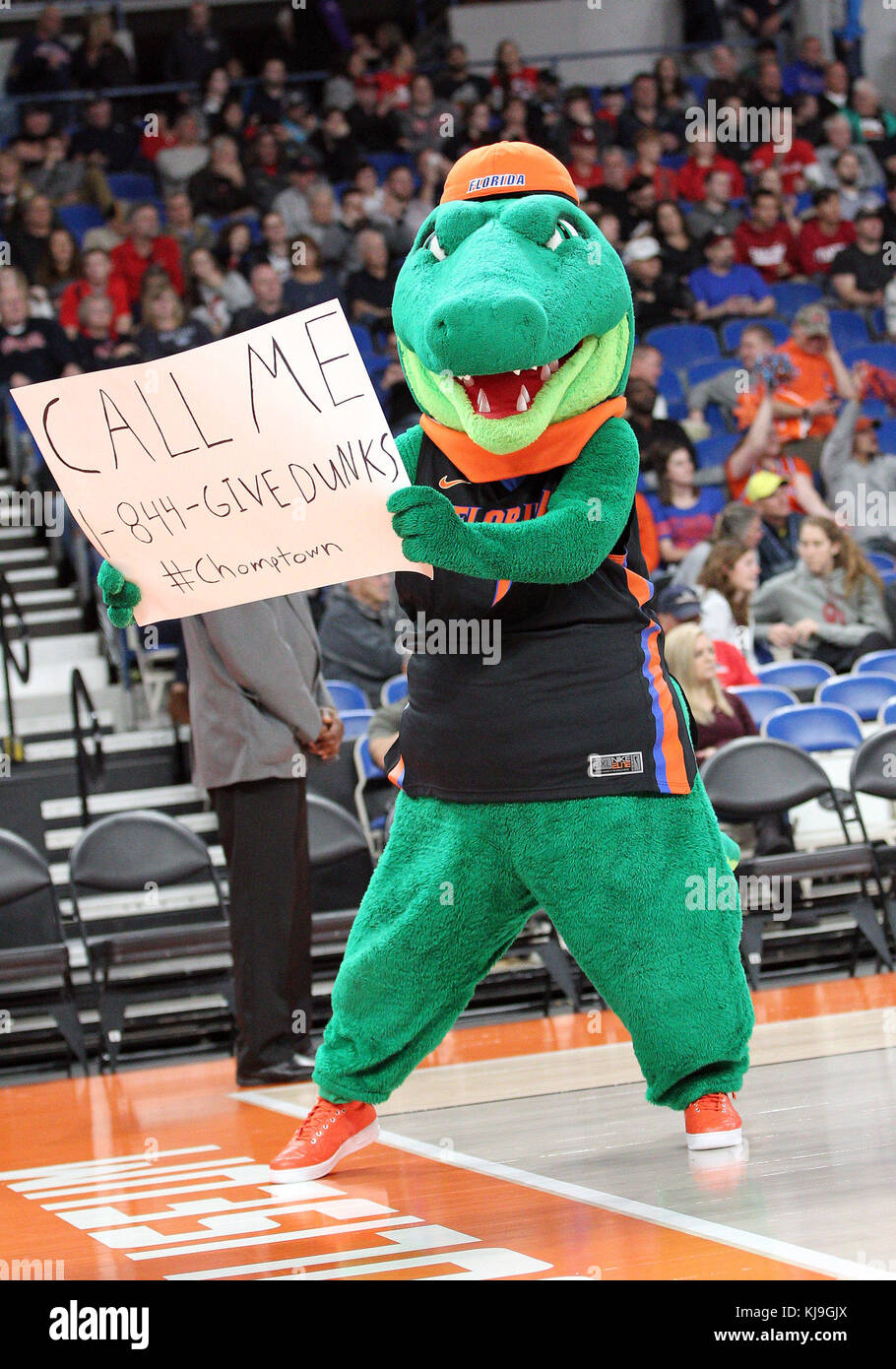 November 23, 2017: The Florida Gator entertains the fans during the ...