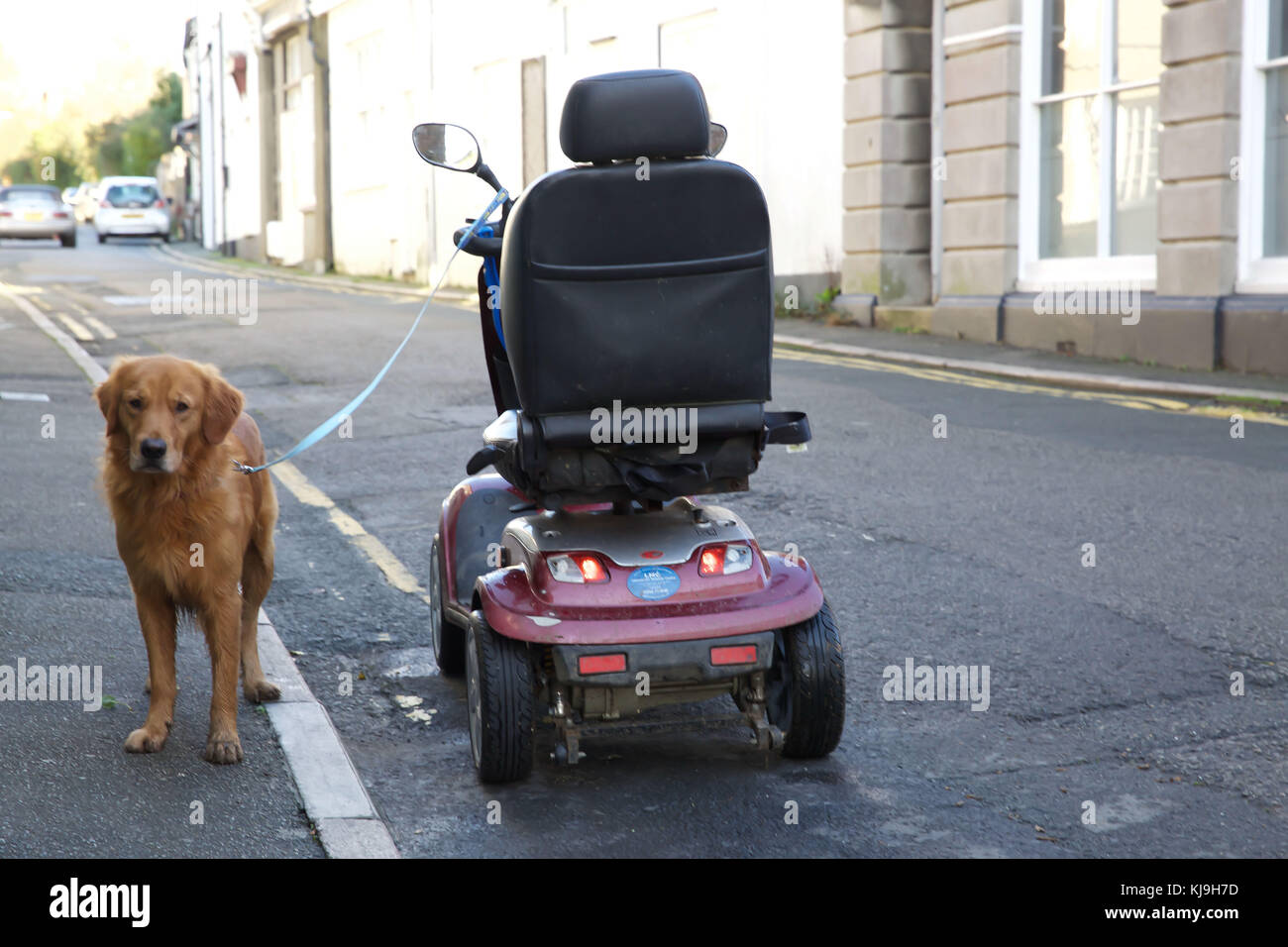 Stratton, UK. 24th Nov, 2017. Blue Skies over Stratton in Cornwall. One ...