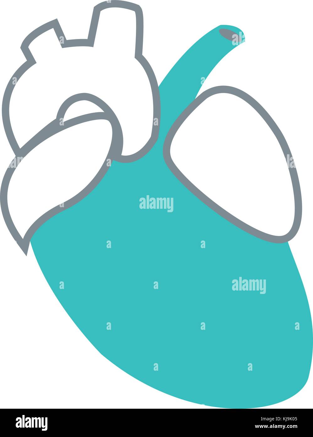 Human heart symbol Stock Vector Image & Art - Alamy