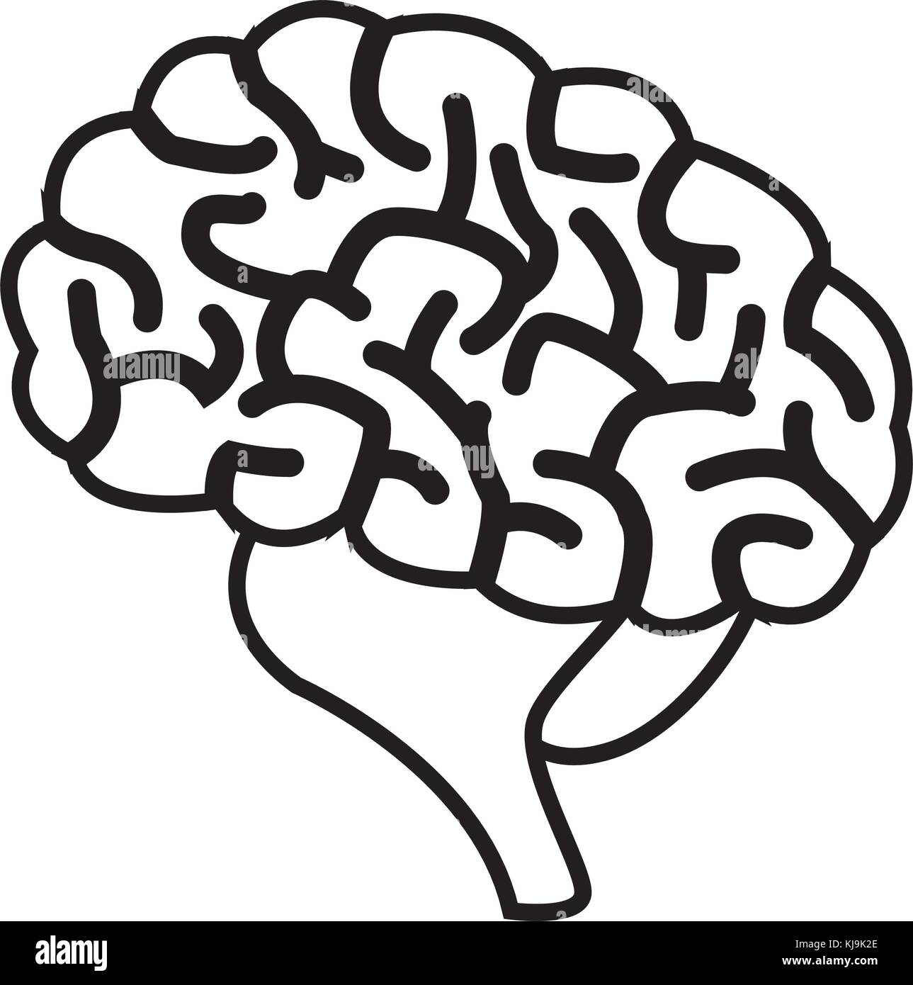 Human brain symbol Stock Vector Image & Art - Alamy