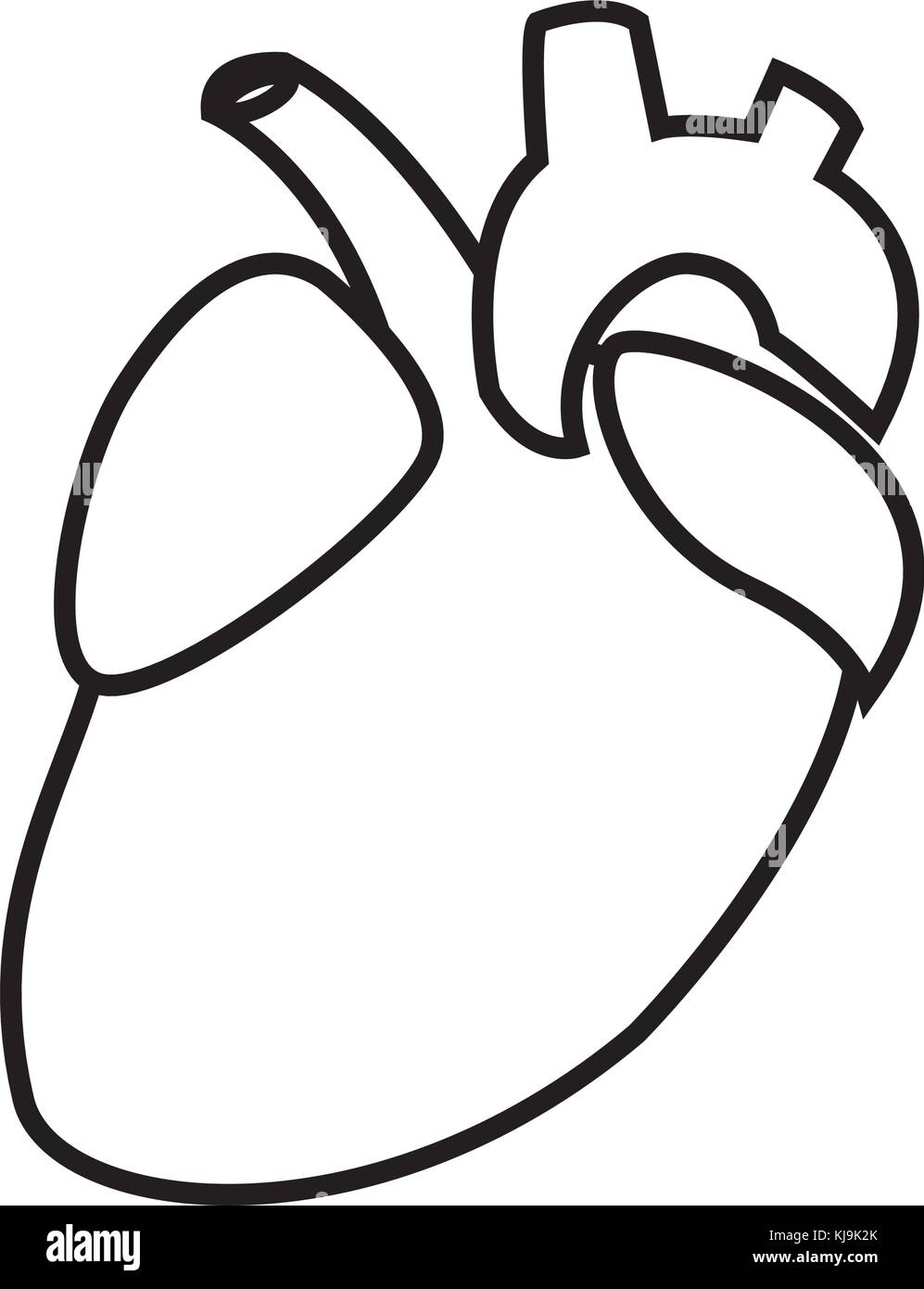 Human heart symbol Stock Vector Image & Art - Alamy