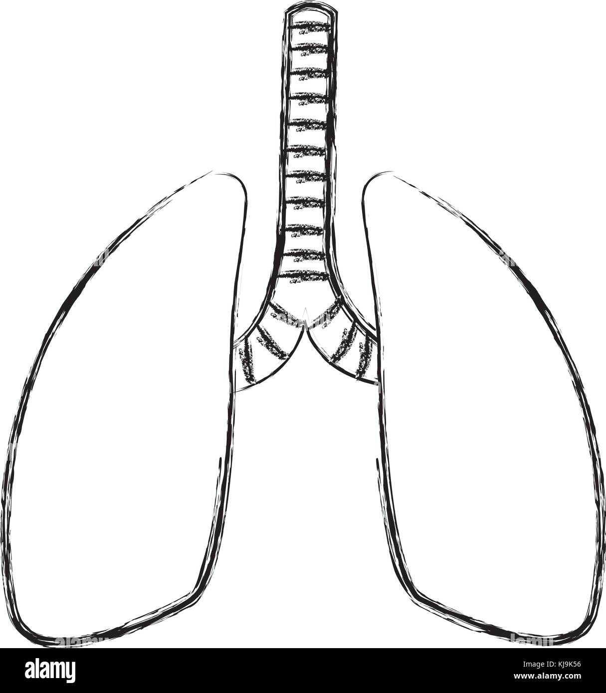 Liver human cartoon design Black and White Stock Photos & Images - Alamy