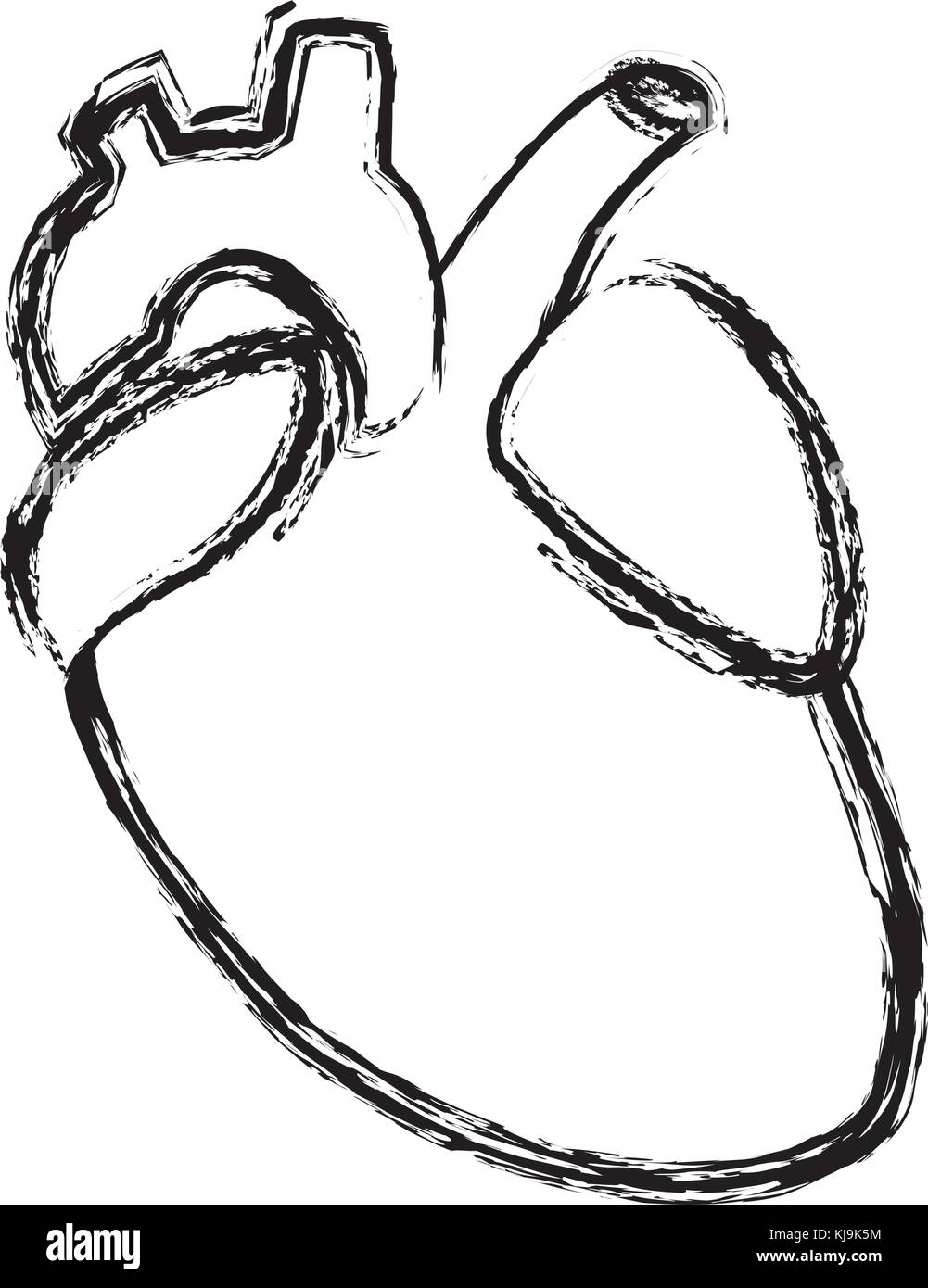 Human heart symbol Stock Vector Image & Art - Alamy