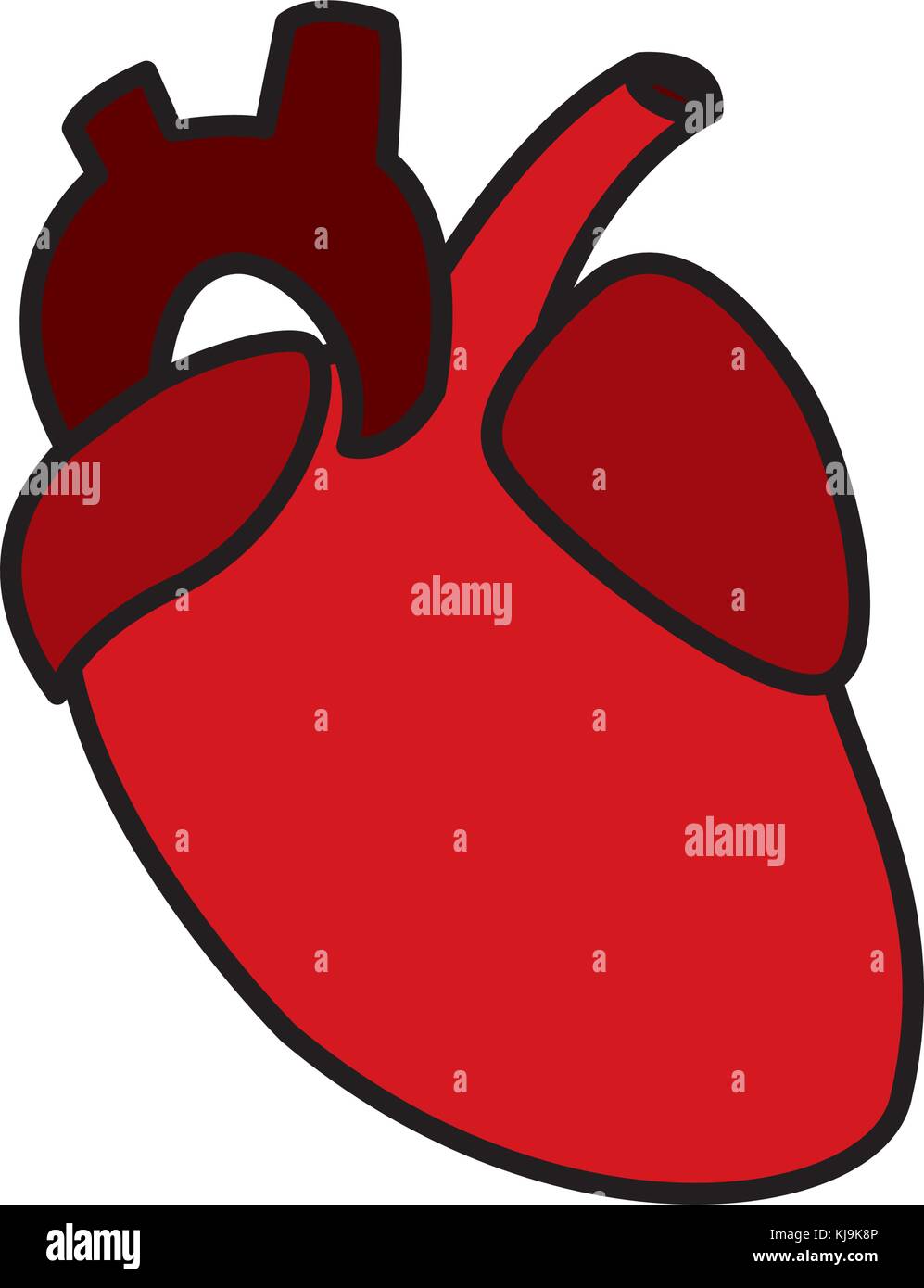 Human heart symbol Stock Vector Image & Art - Alamy