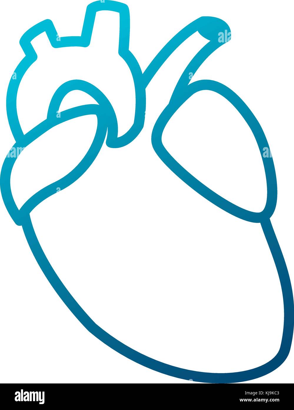 Human heart symbol Stock Vector Image & Art - Alamy