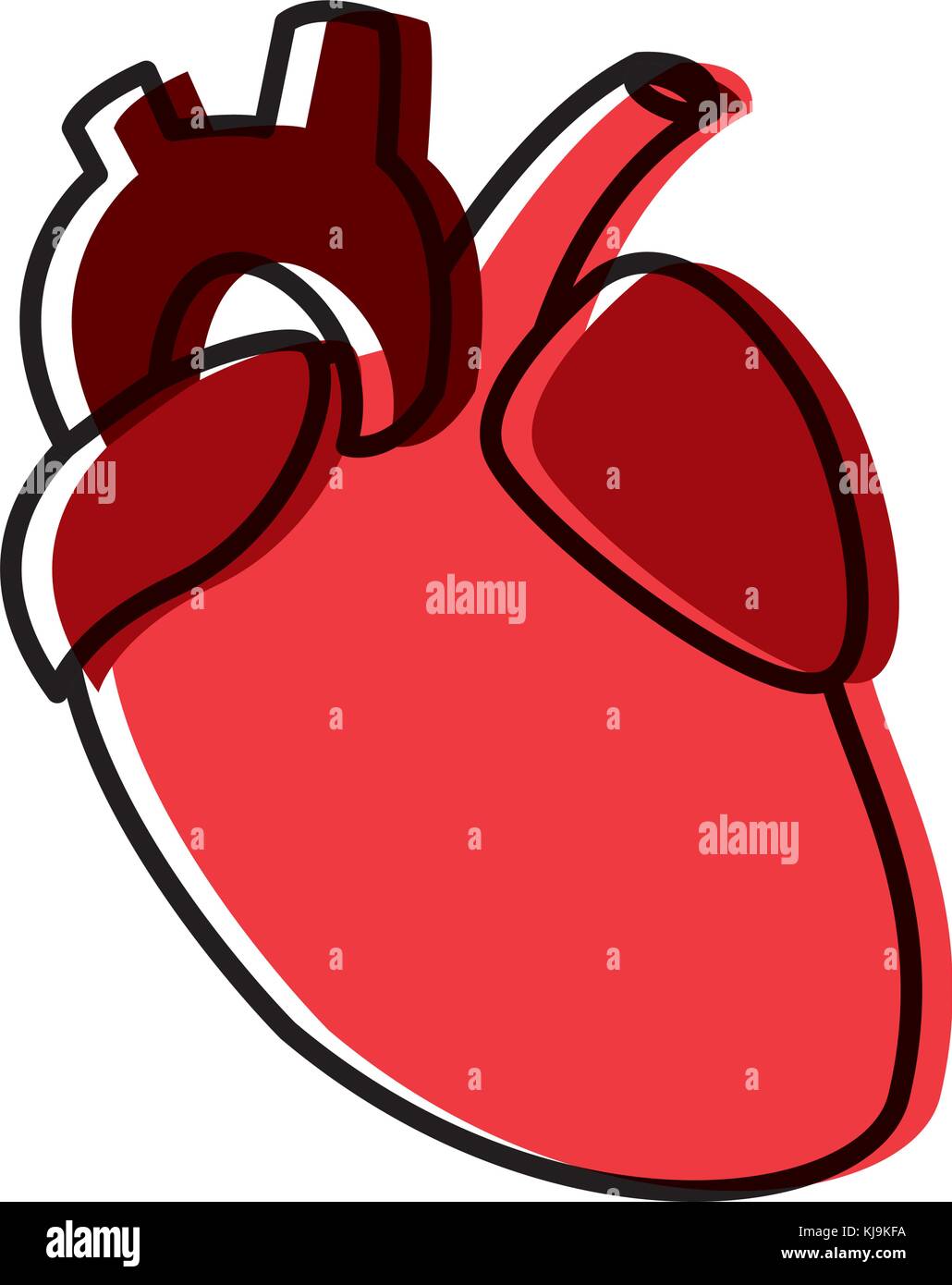 Human heart symbol Stock Vector Image & Art - Alamy