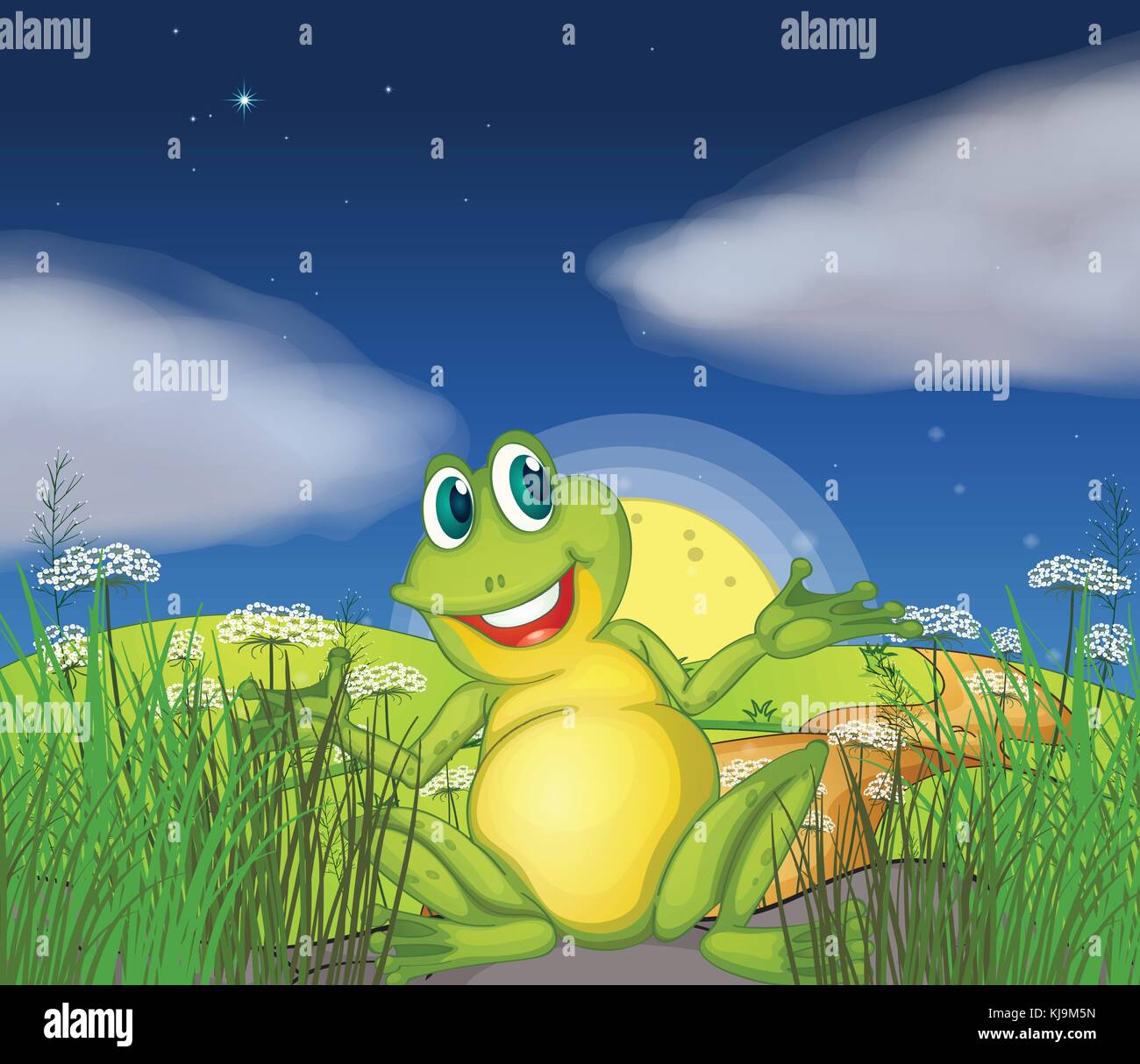 Amphibian illustrations Stock Vector Images - Alamy