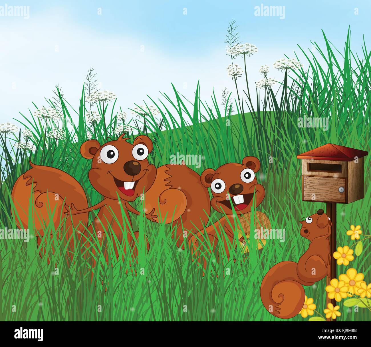 Swuirrel climbing hi-res stock photography and images - Alamy