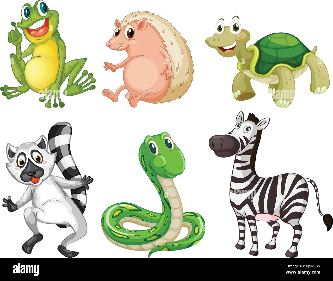 Illustration of the different species of animals on a white background ...