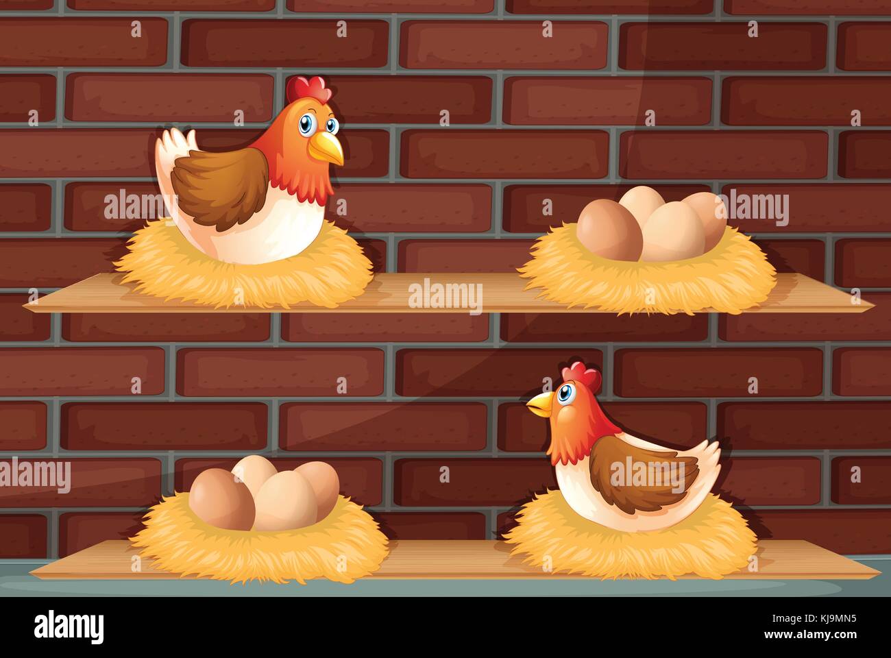 Illustration of two hens laying eggs at the wooden shelves Stock Vector ...