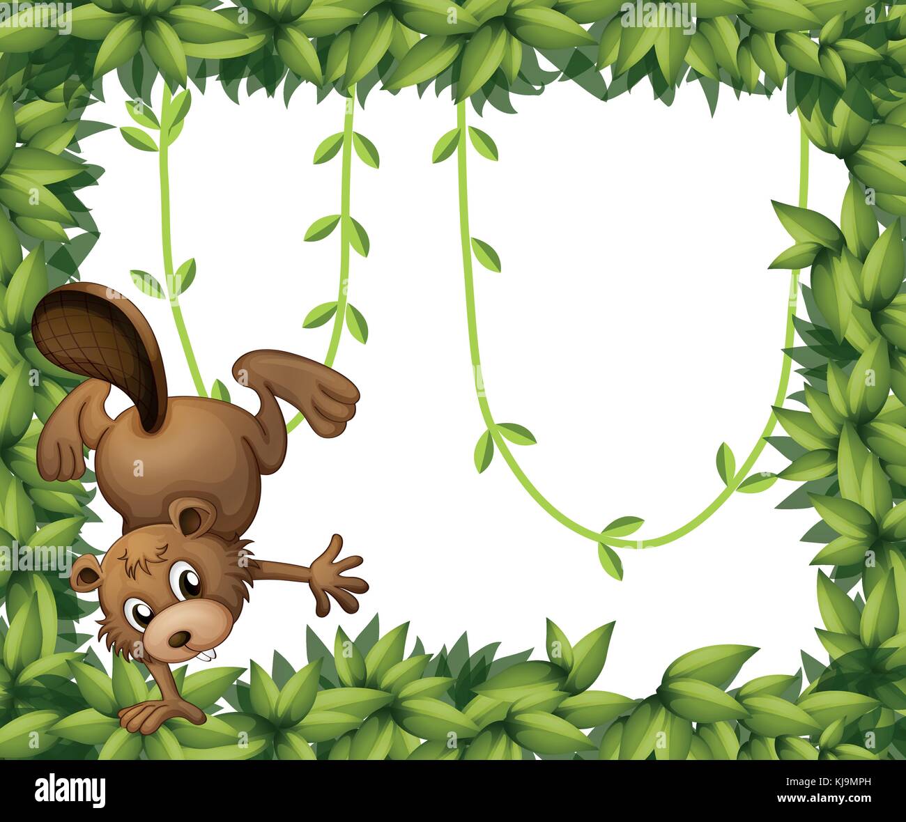 Beaver border hi-res stock photography and images - Alamy