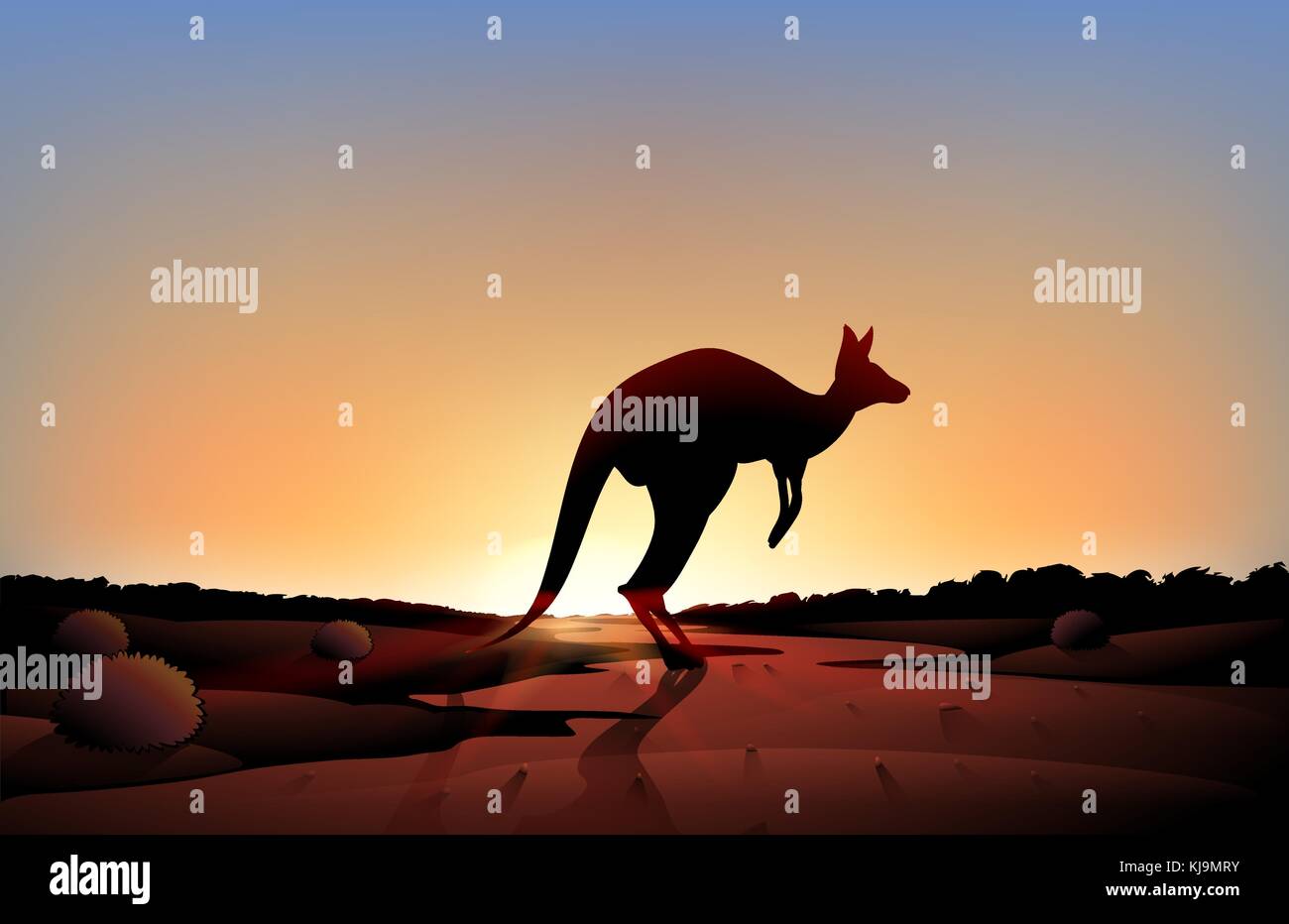 Illustration of a sunset with a kangaroo Stock Vector Image & Art - Alamy