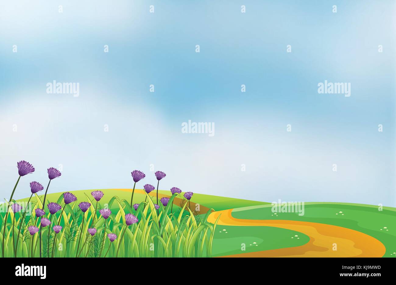 Illustration of a garden with violet flowers at the top of the hills ...