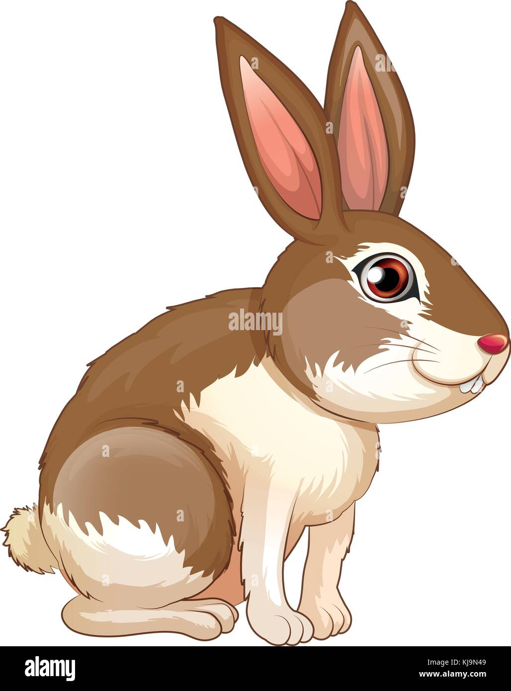 Illustration of a fat brown rabbit on a white background Stock Vector ...