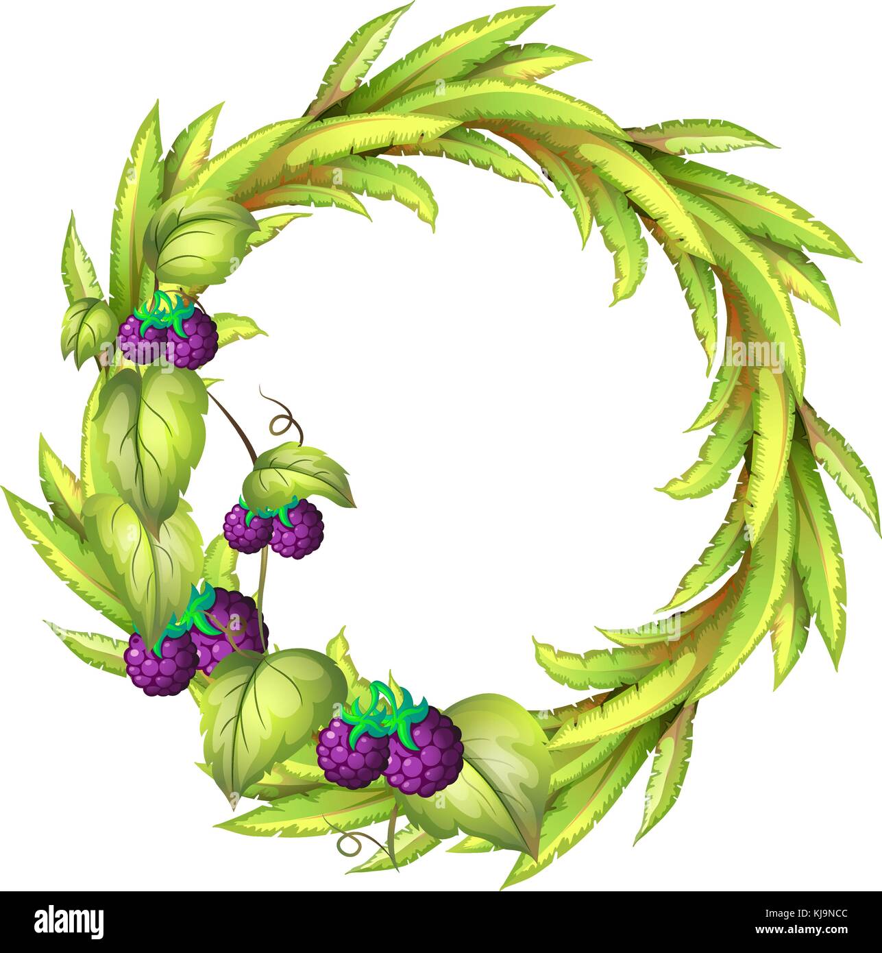 Illustration of a round frame with violet berries on a white background ...