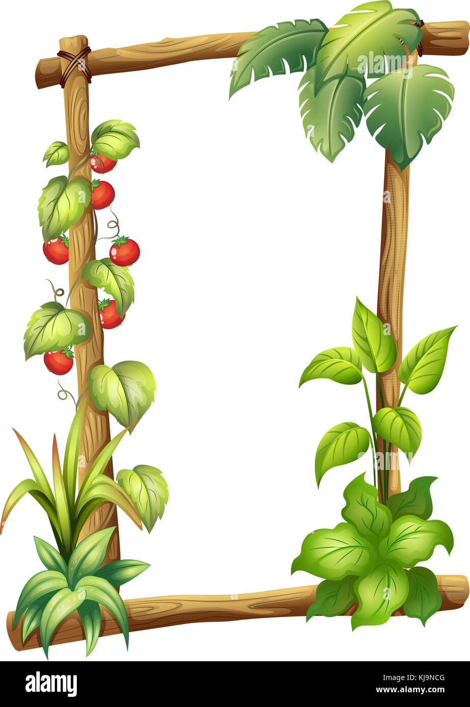 Illustration of a frame with plants on a white background Stock Vector ...