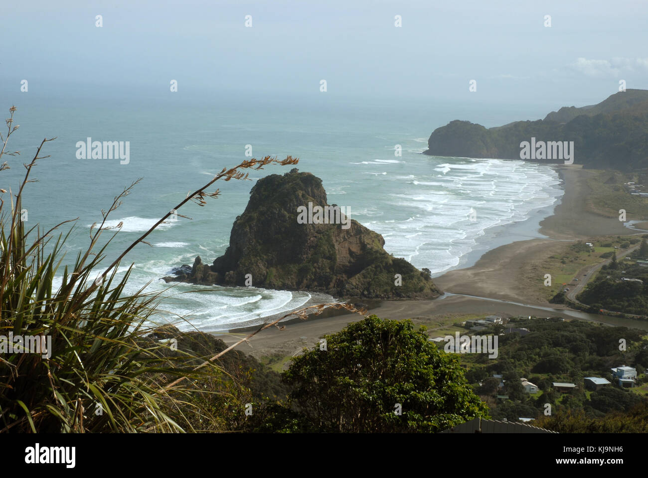Piha Beach, New Zealand Stock Photo - Alamy