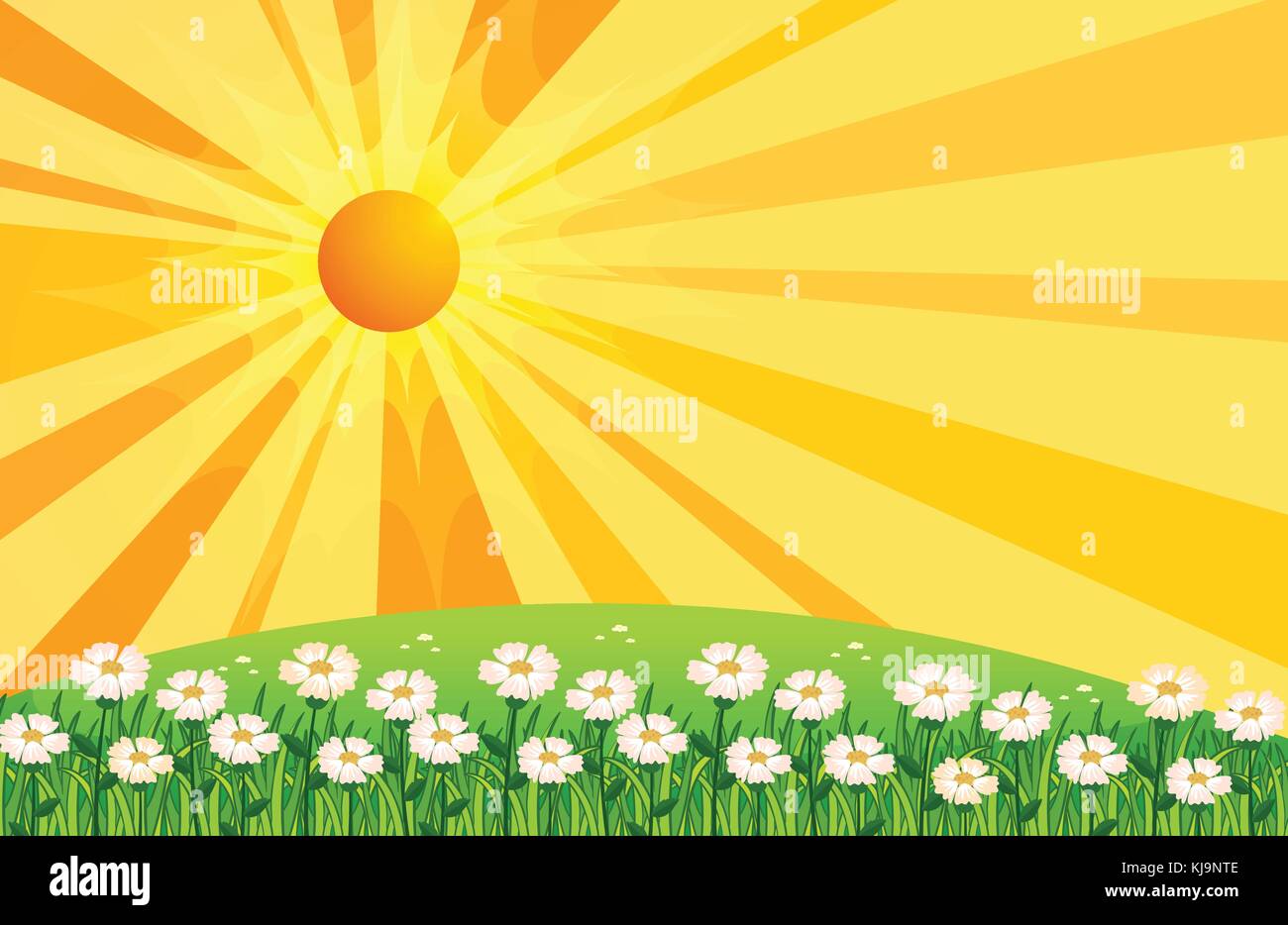 Illustration of a garden of white flowers above the hills Stock Vector ...