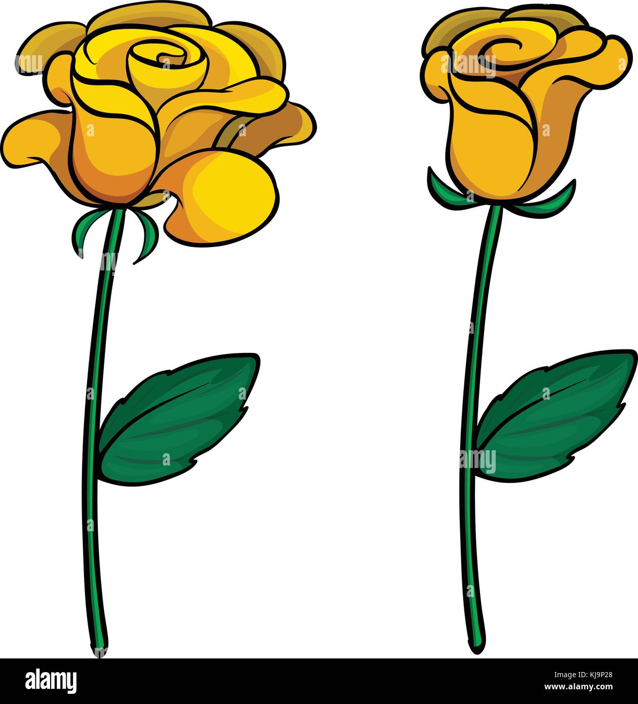 Illustration of two lovely flowers on a white background Stock Vector ...