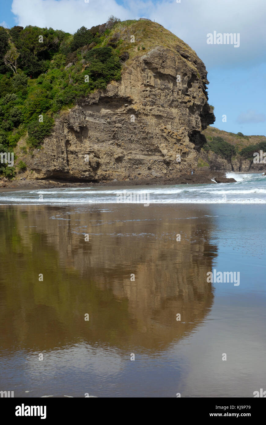 Piha Beach, New Zealand Stock Photo - Alamy