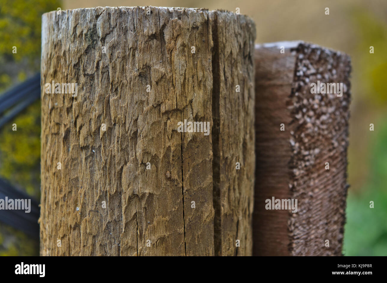 Wood Timber Pole Poles High Resolution Stock Photography and Images - Alamy